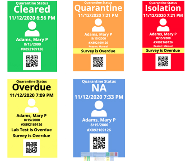 Introducing the Ithaca College Badge System for Students | Ithaca College