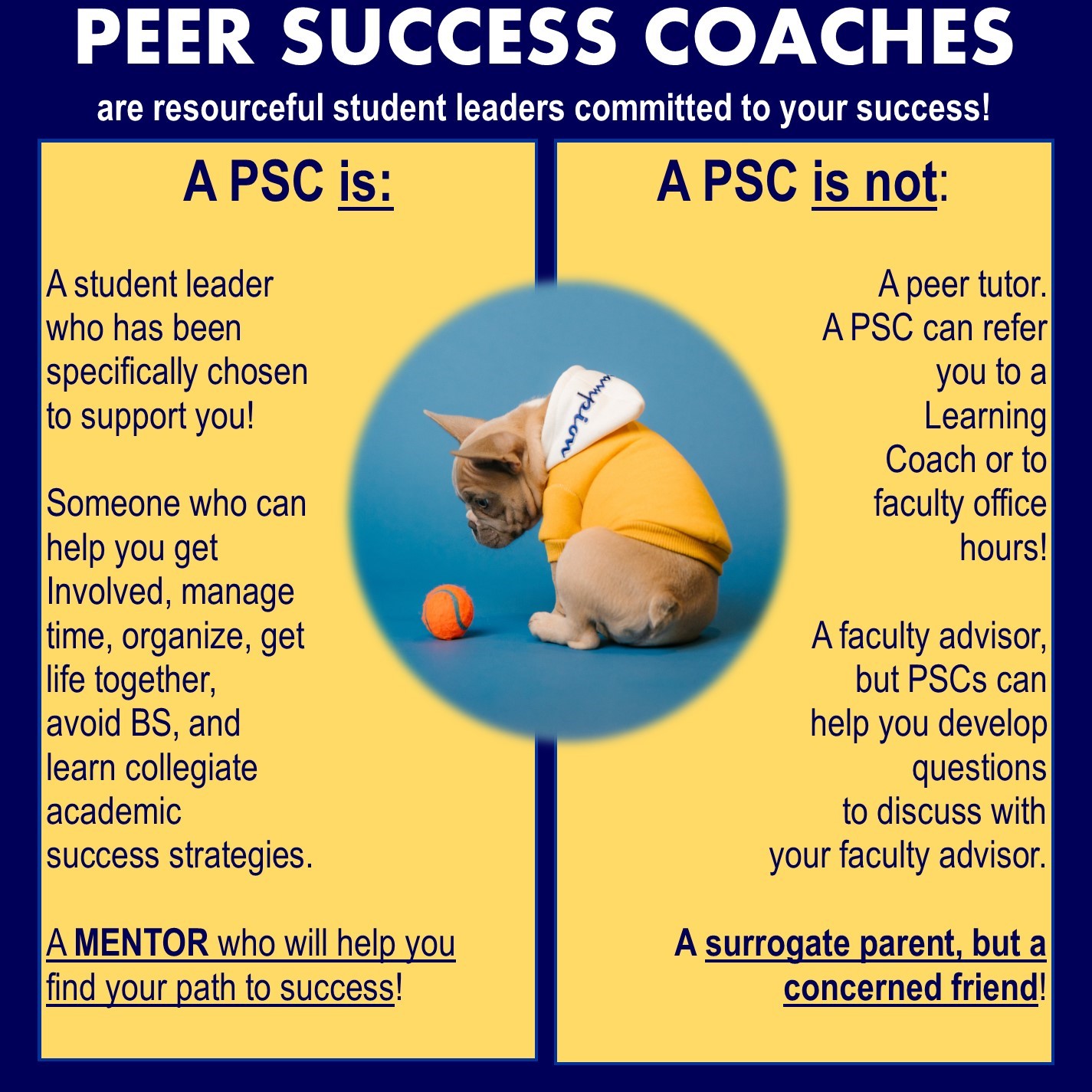 Academic Success Coach