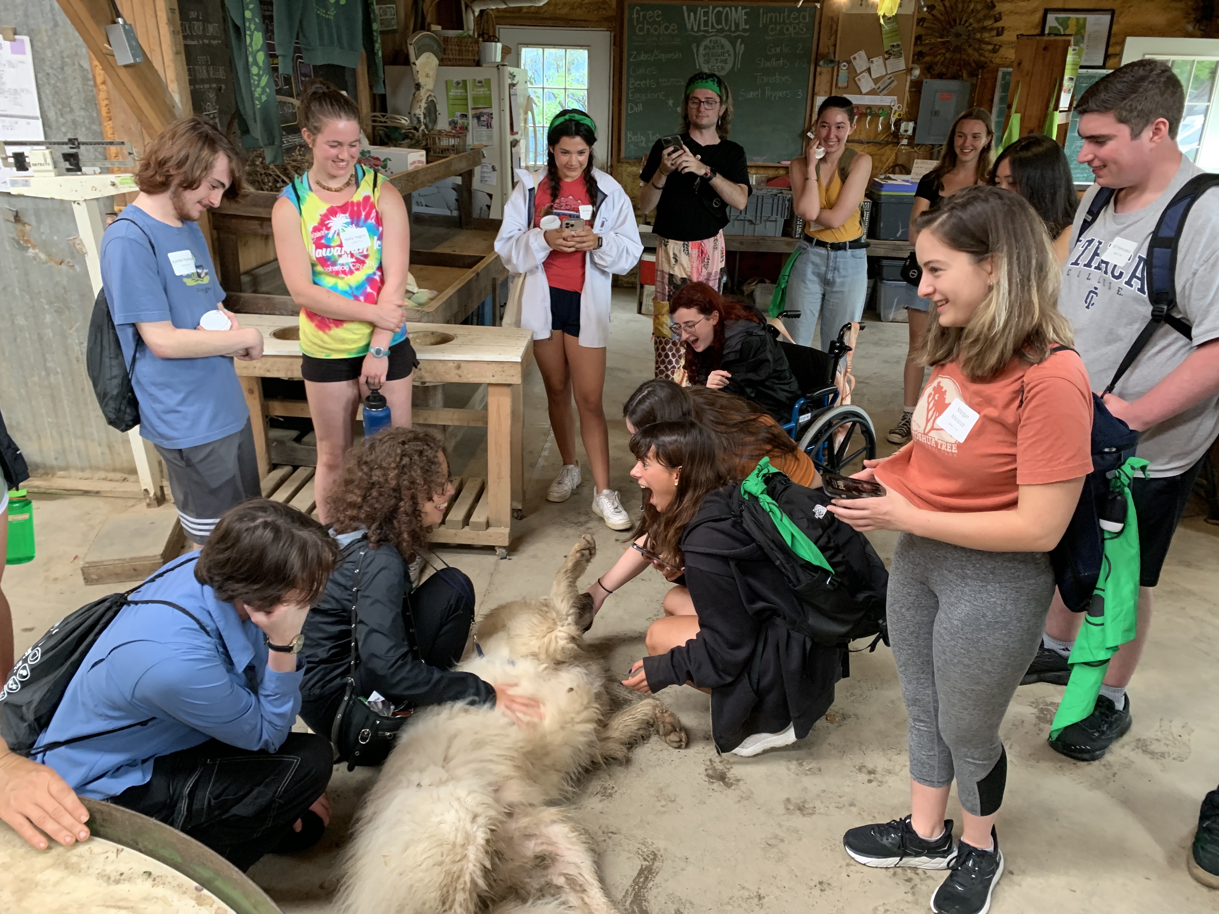 Sustainable Academics | Ithaca College