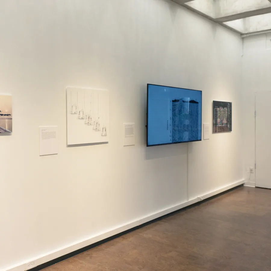 Section as Cosmogram: From the Heavens to the Earth | Ithaca College